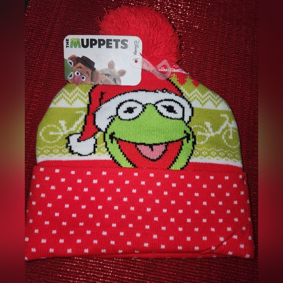 The Muppets | Accessories | The Muppets Kermit The Frog Winter Knit Hat ...